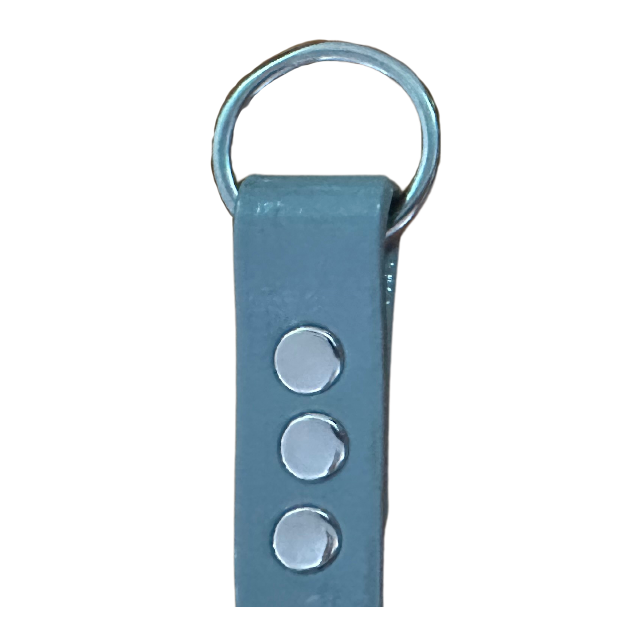PVC Coated Webbing Slip Lead – Bravic Pets