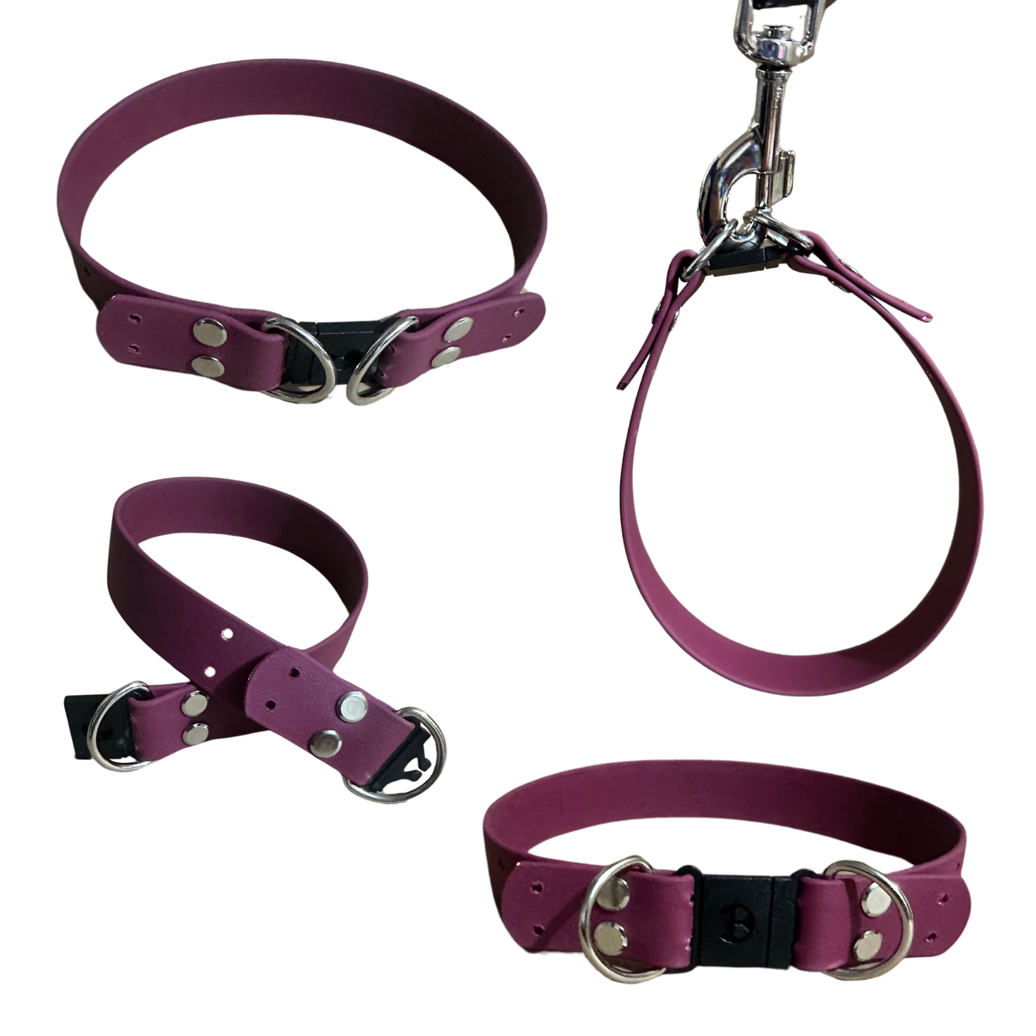 Biothane Safety First Collar 25mm – Bravic Pets